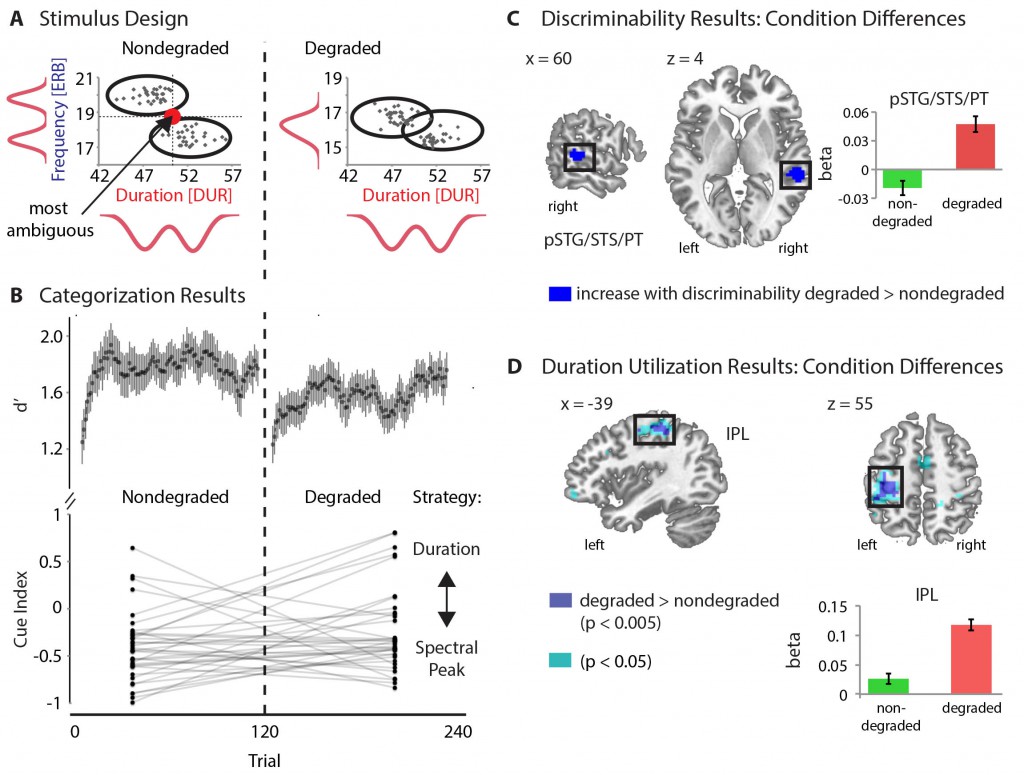 auditory categorization - Auditory Cognition