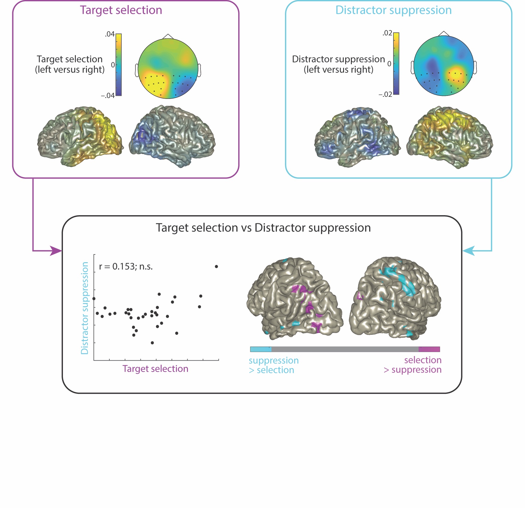 Neural Oscillations - Auditory Cognition